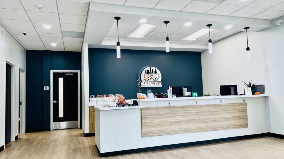 Best Vet Hospital In Minneapolis, MN | Cityscape Vets On Excelsior