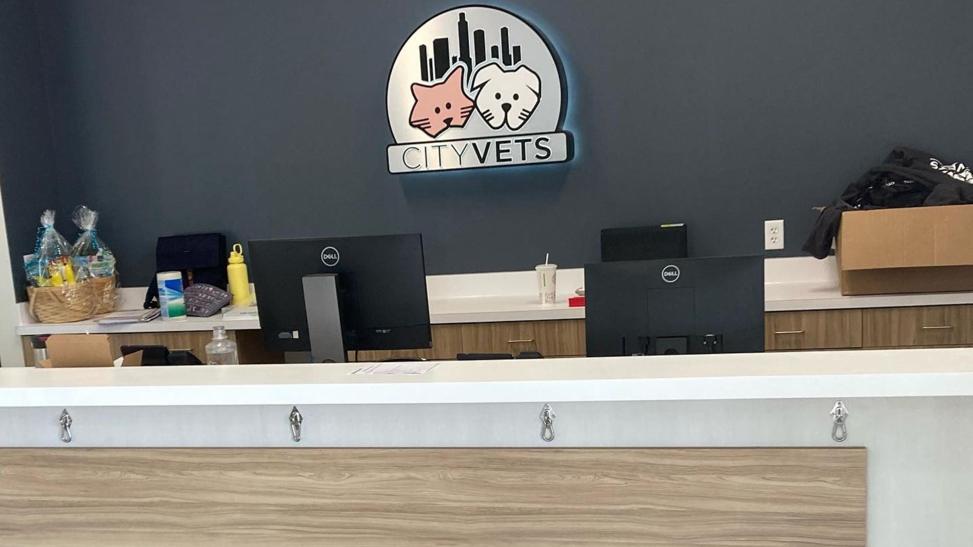 Minneapolis, MN 55416 Veterinary Services | Cityscape Vets On Excelsior